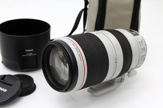 EF100-400mm F4.5-5.6L IS II USM 望遠ズーム K2978-2B2B | キヤノン | 一眼レフカメラ用│アールイーカメラ